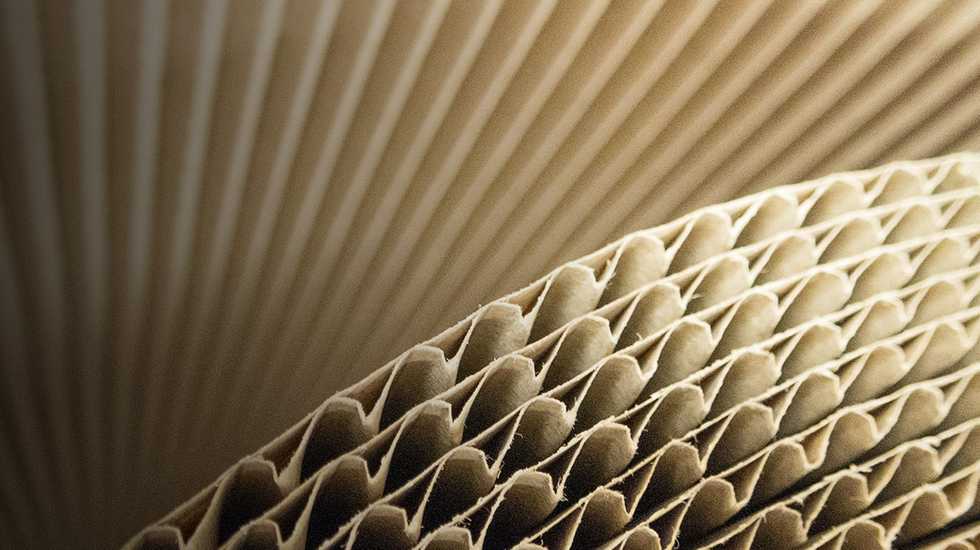 EUDR Regulations and Country Risk Assessment Updates - Fastmarkets