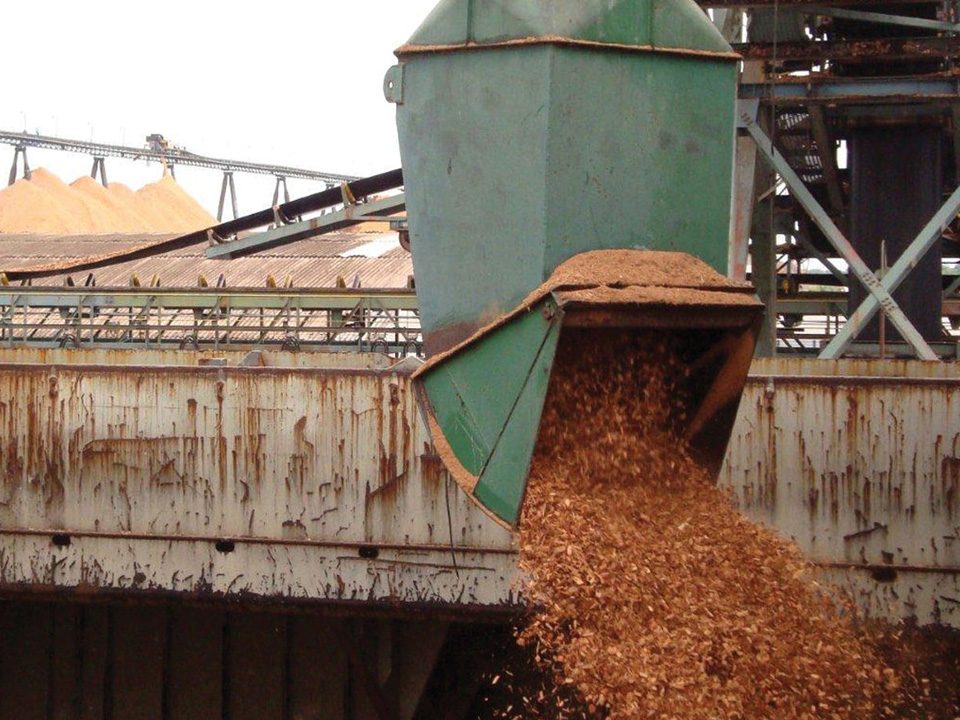 Chinese BSK import prices look likely to drop