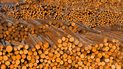 Stay informed on the North American lumber market with the Random ...
