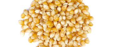 Corn prices, news and market analysis