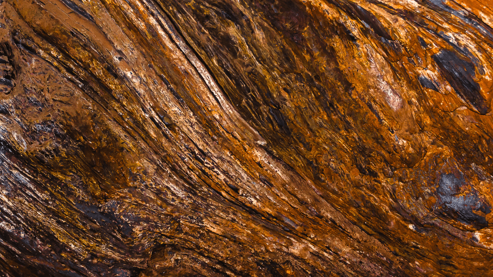 Softwood pulp Archives - Fastmarkets