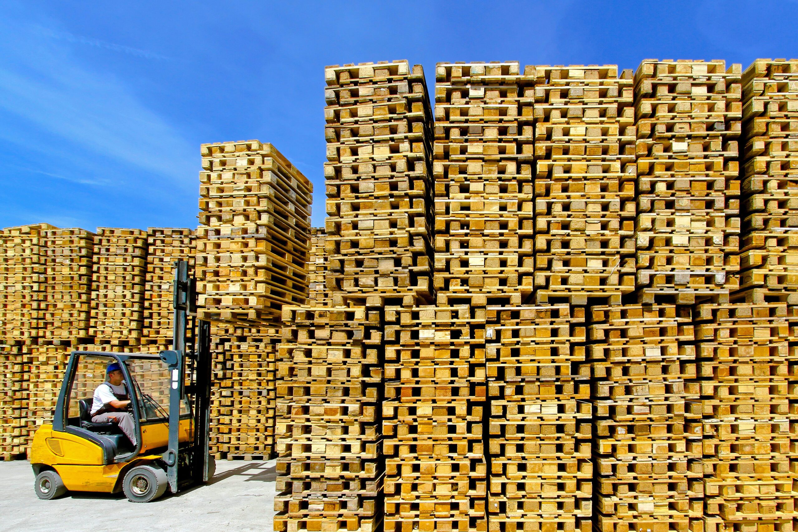 Softwood lumber market thrown into turmoil following strikes and Hurricane Helene - Fastmarkets