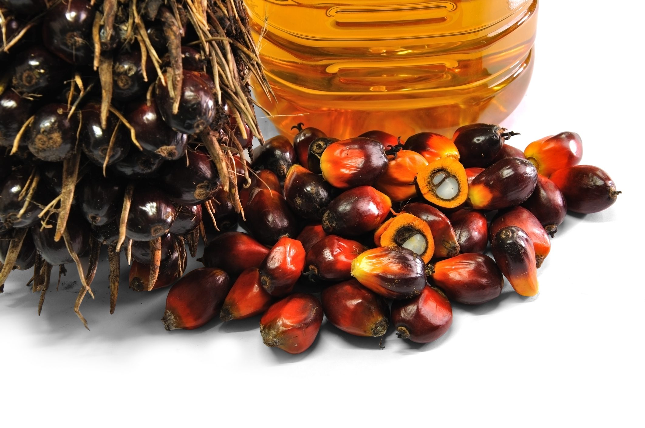 Palm oil price forecast and production outlook 2026 - Fastmarkets