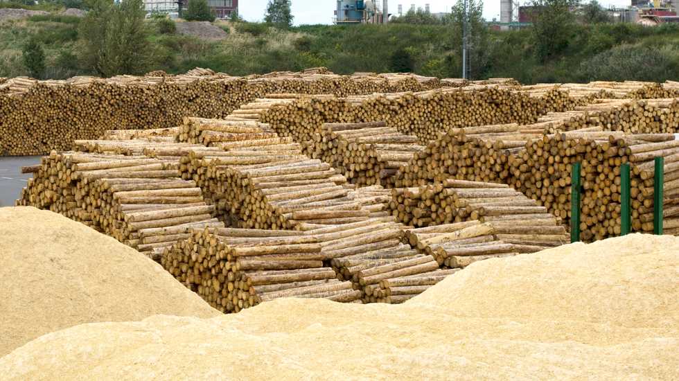 NBSK prices dip in China while BHK talks in stalemate ahead of new pulp ...