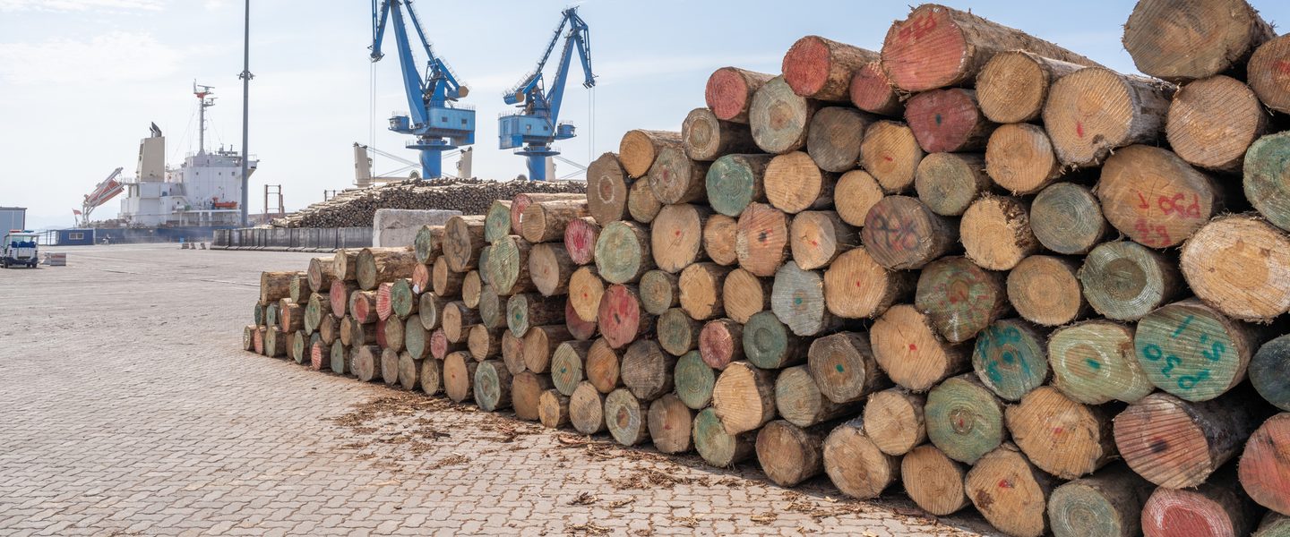 Timber Imports: US Dependency on Canada Explained - Fastmarkets