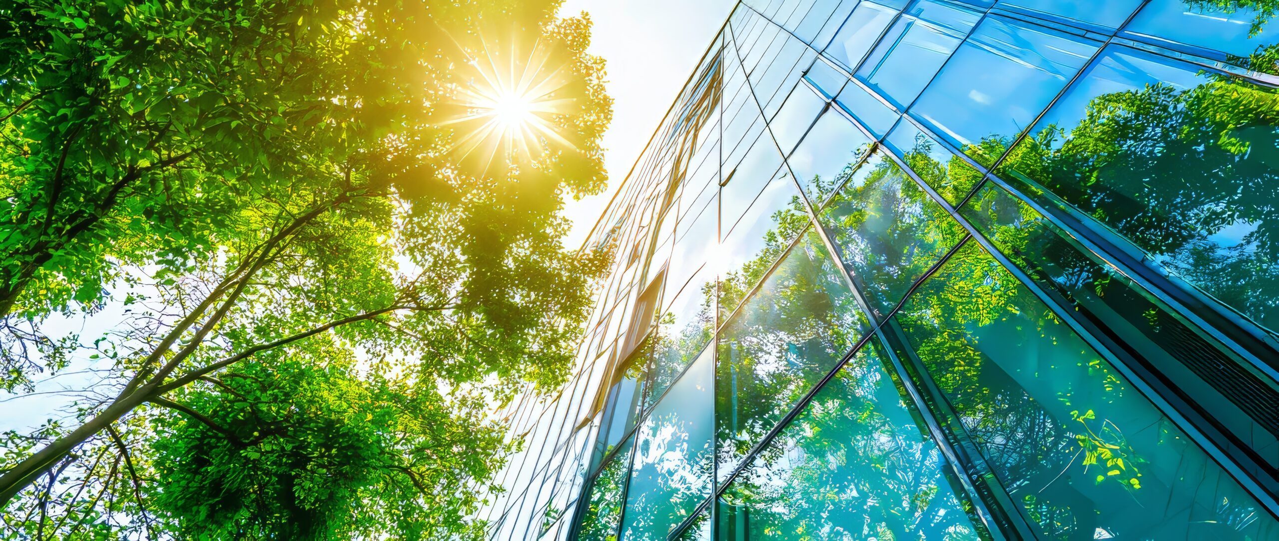 Pricing schedules - Fastmarkets