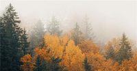 The carbon dioxide removal affordability boom: economic drivers ...