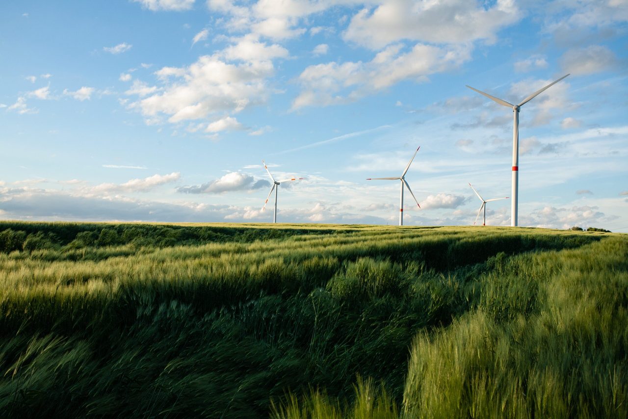 Microsoft pause in carbon removal buying exposes lack of depth in ...