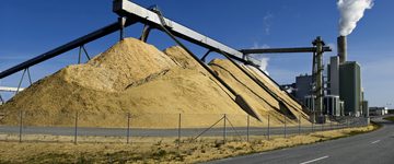 London Pulp Week: lessons learned and the year ahead