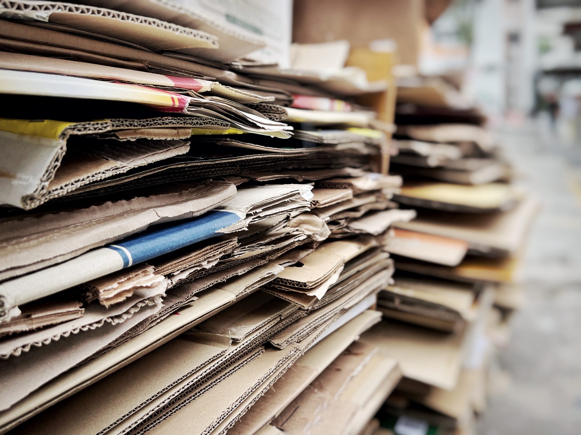 Key clues to watch out for in the global recovered paper market | 2024 ...