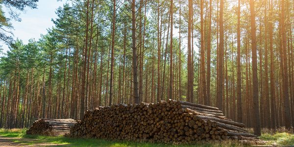 Random Lengths weekly report - Fastmarkets