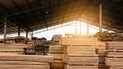 Stay informed on the North American lumber market with the Random ...