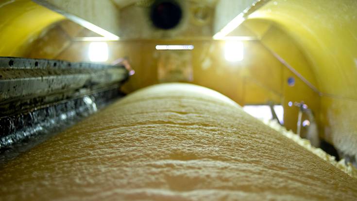 Bracell begins study for new pulp mill in Brazil; project aims to ...