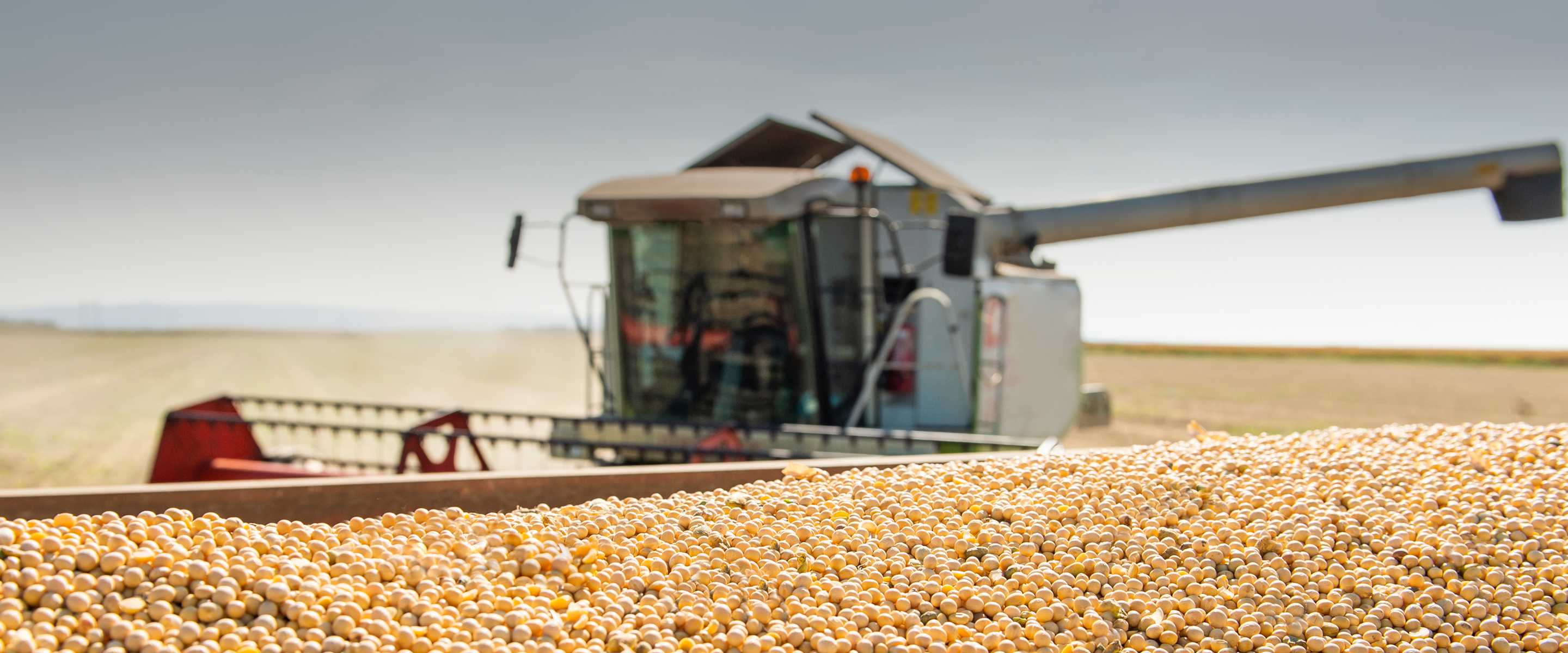 Agriculture login - Fastmarkets